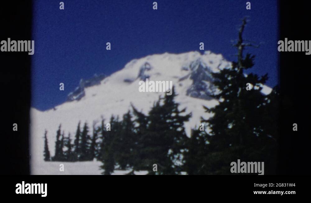 OREGON USA-: Snowy Mountain Peak With A Trail Of Evergreens In The ...