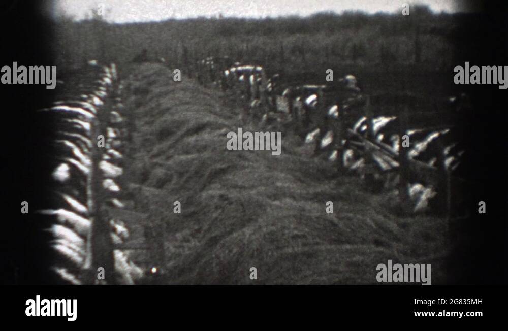 Scary cows Stock Videos & Footage - HD and 4K Video Clips - Alamy