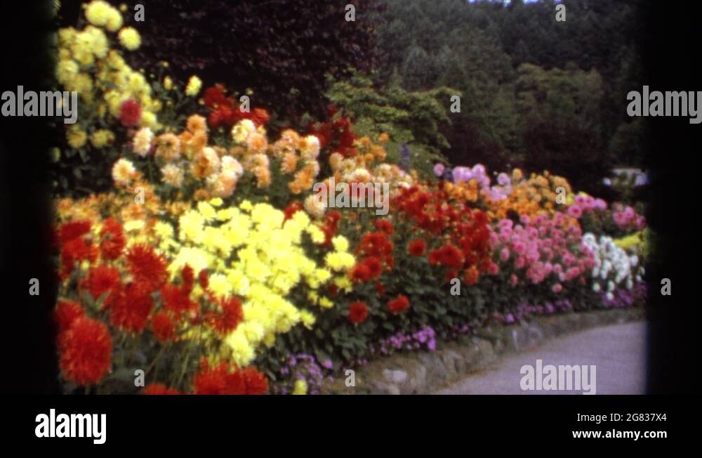 Curving slightly Stock Videos & Footage - HD and 4K Video Clips - Alamy