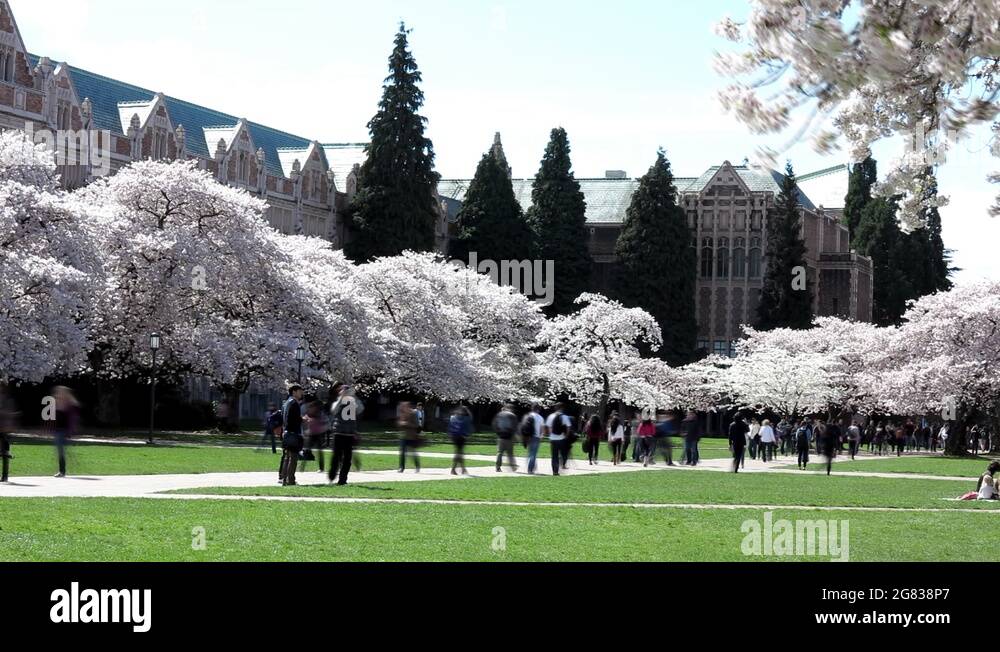 Washington state university campus Stock Videos & Footage - HD and 4K ...
