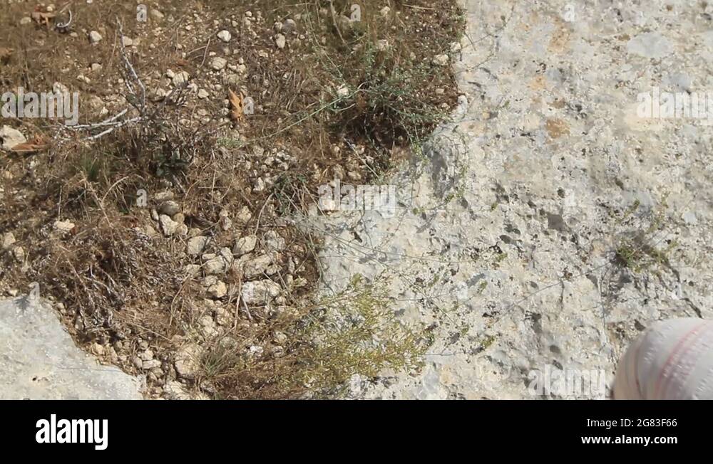 King david bible Stock Videos & Footage - HD and 4K Video Clips - Alamy