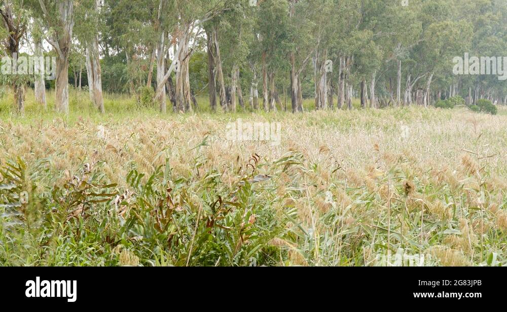 Beautiful natural countryside Stock Videos & Footage - HD and 4K Video ...