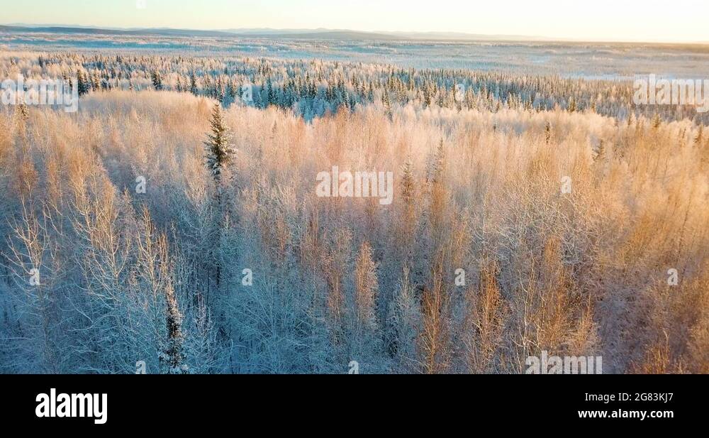 Landscape of the boreal forest Stock Videos & Footage - HD and 4K Video ...