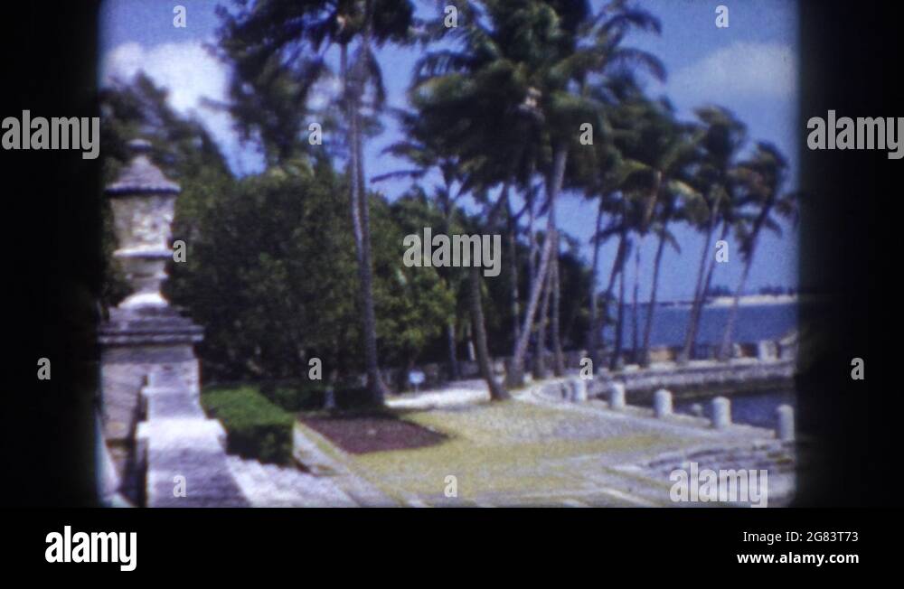 Large lady palm Stock Videos & Footage - HD and 4K Video Clips - Alamy