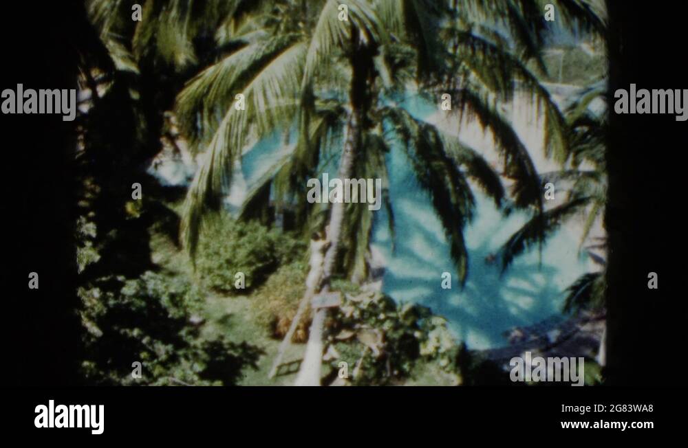 ACAPULCO MEXICO-1962: The Palm Trees Are There Its Like A Very ...