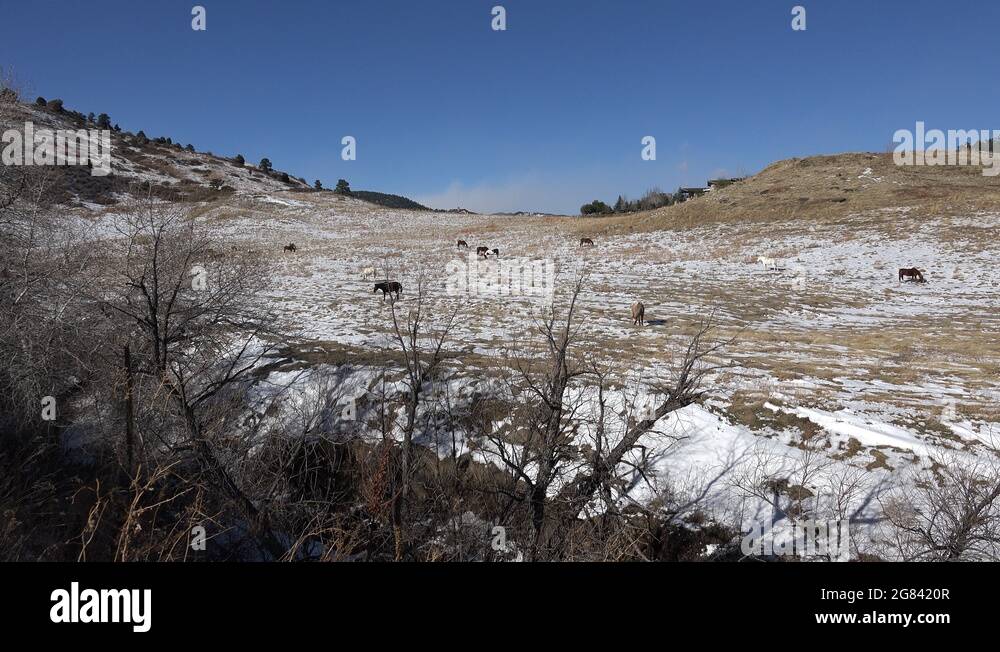 Winter barren field Stock Videos & Footage - HD and 4K Video Clips - Alamy
