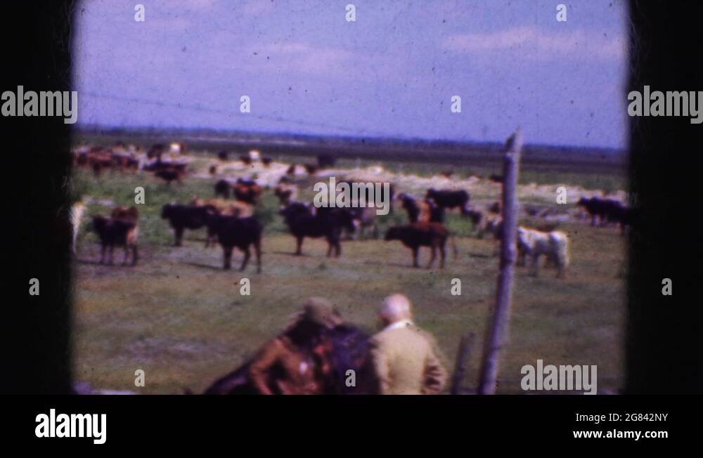 Usa cattle ranch horse Stock Videos & Footage - HD and 4K Video Clips ...