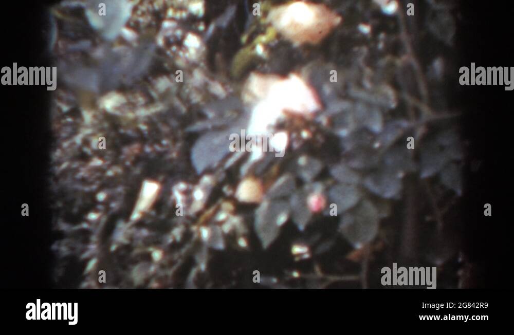 Poor quality of life Stock Videos & Footage - HD and 4K Video Clips - Alamy