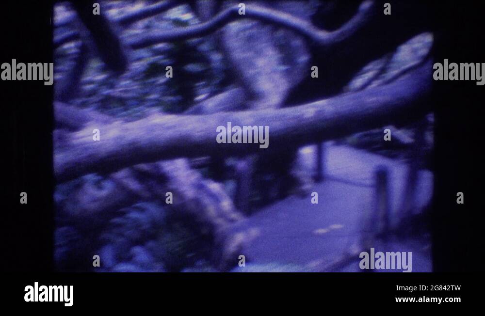 Hidden walkway Stock Videos & Footage - HD and 4K Video Clips - Alamy