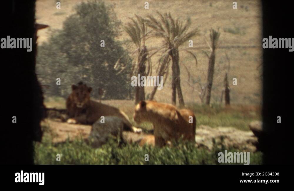 1971 male Stock Videos & Footage - HD and 4K Video Clips - Alamy