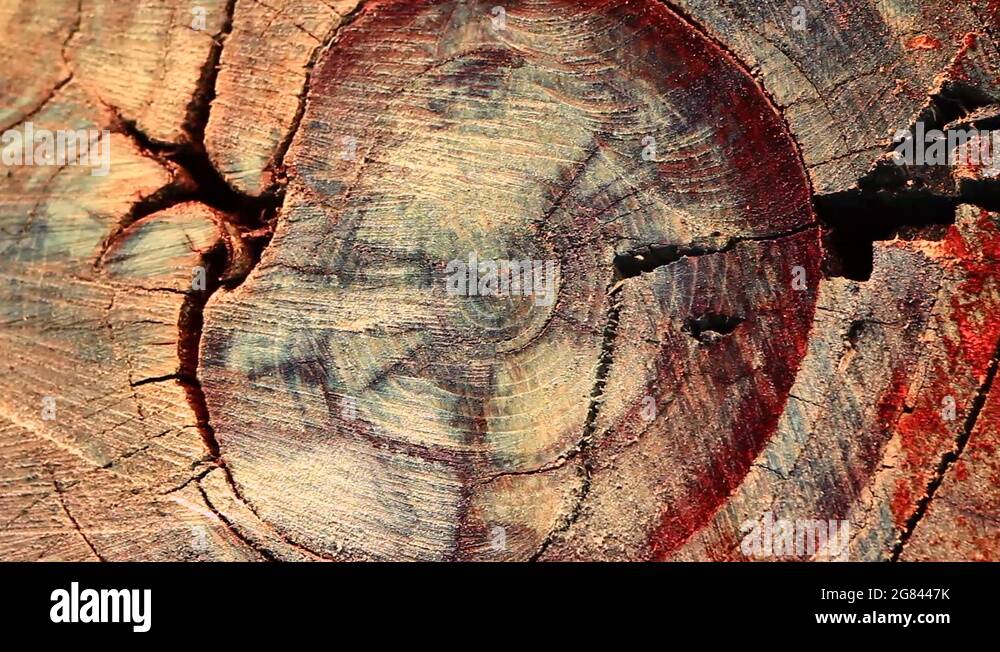 Lumber patterns Stock Videos & Footage - HD and 4K Video Clips - Alamy