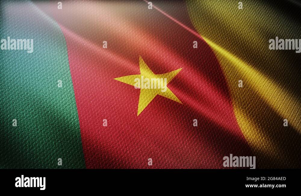 Cameroonian flag waving Stock Videos & Footage - HD and 4K Video Clips ...