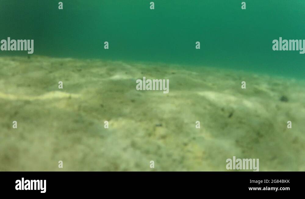 Underwater sand Stock Videos & Footage - HD and 4K Video Clips - Alamy