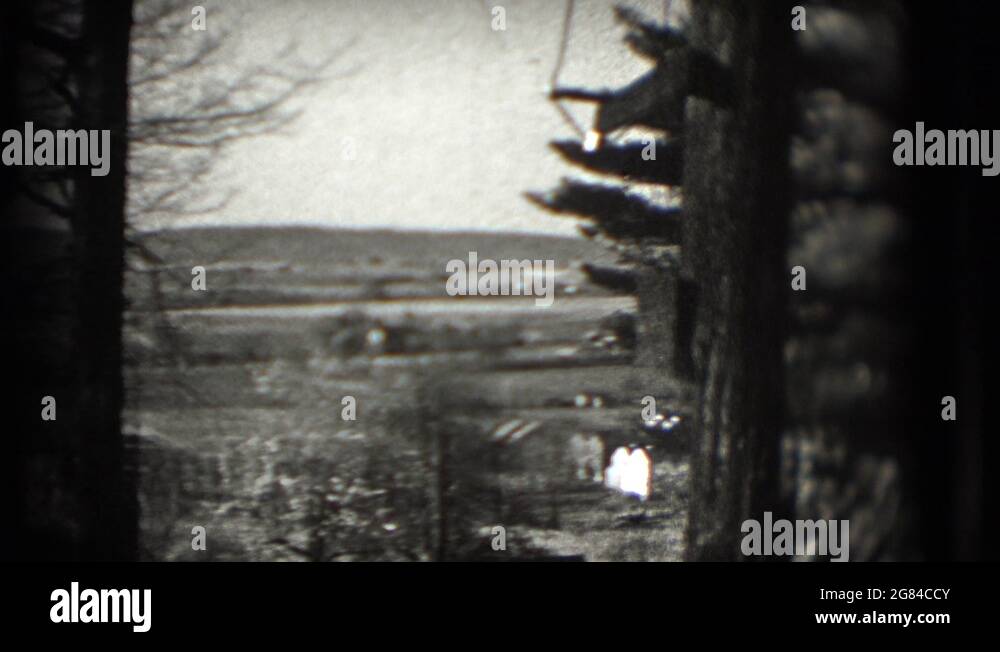 WASHINGTON DC-1975: Tall Barren Trees With Large Empty Field And Small ...