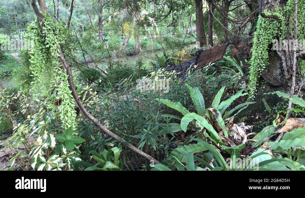 Surrounded plants Stock Videos & Footage - HD and 4K Video Clips - Alamy