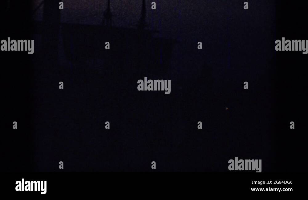 Animal pet pipe Stock Videos & Footage - HD and 4K Video Clips - Alamy