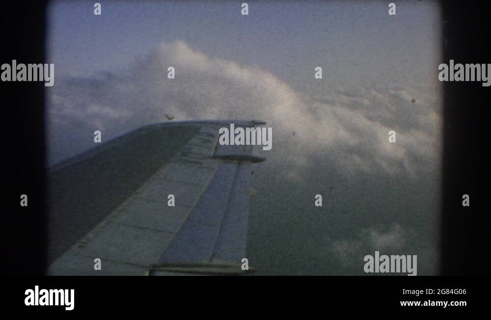 Short wing Stock Videos & Footage - HD and 4K Video Clips - Alamy