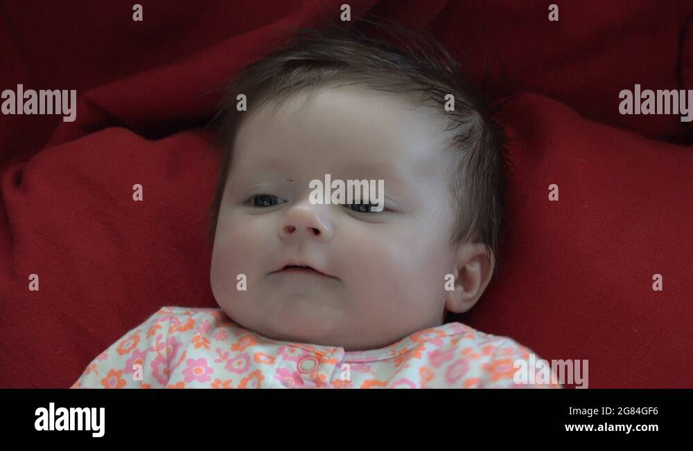 Red bedding Stock Videos & Footage - HD and 4K Video Clips - Alamy