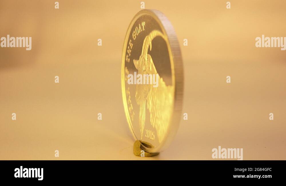 Gold Coin With A Chinese Character On One Side And A Goat On The Other ...