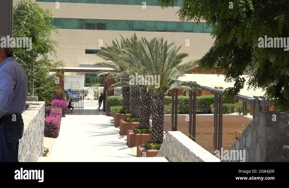 Pathway designs Stock Videos & Footage - HD and 4K Video Clips - Alamy