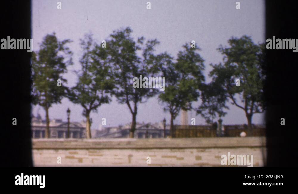 Old trees level distance Stock Videos & Footage - HD and 4K Video Clips ...