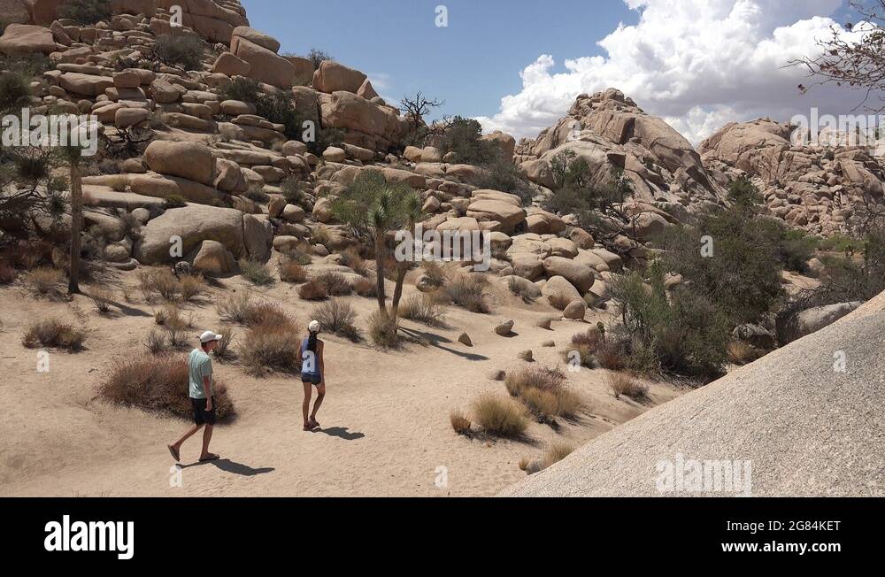 Barker dam joshua tree national park Stock Videos & Footage - HD and 4K ...
