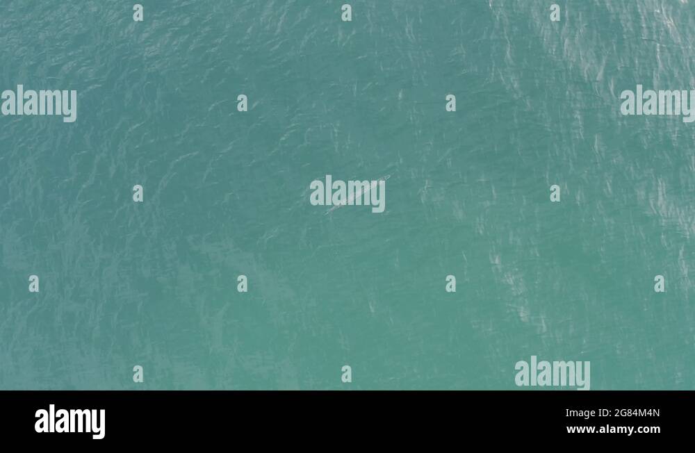 EAST CAPE BCS MEXICO-2019: Filming From Above A Fish Under A Big Blue ...