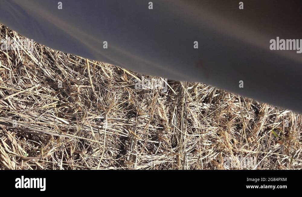 Soil terrain Stock Videos & Footage - HD and 4K Video Clips - Alamy