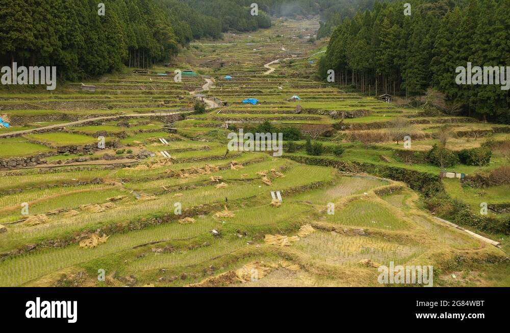 Senmaida rice terraces japan Stock Videos & Footage - HD and 4K Video ...
