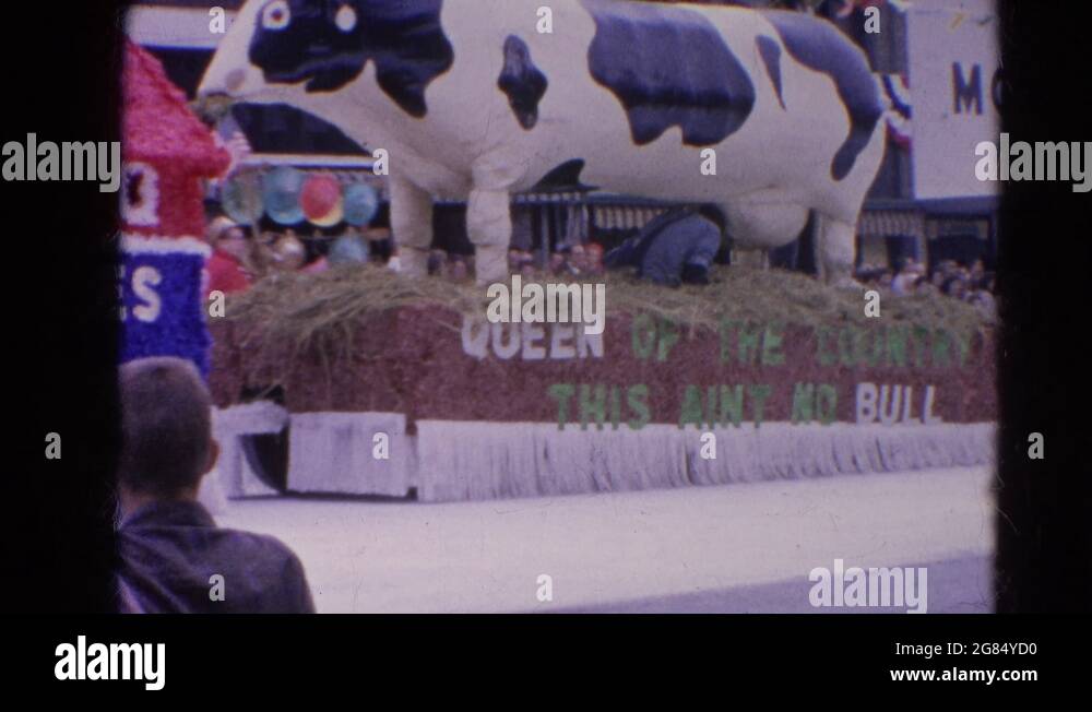 Cow float Stock Videos & Footage - HD and 4K Video Clips - Alamy