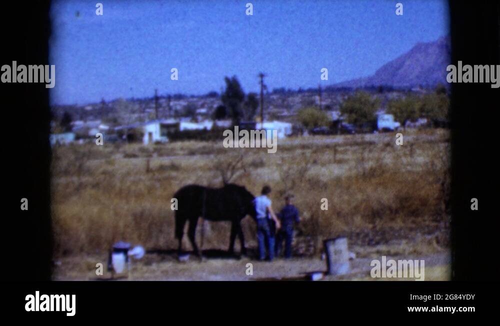 Roaming horse Stock Videos & Footage - HD and 4K Video Clips - Alamy