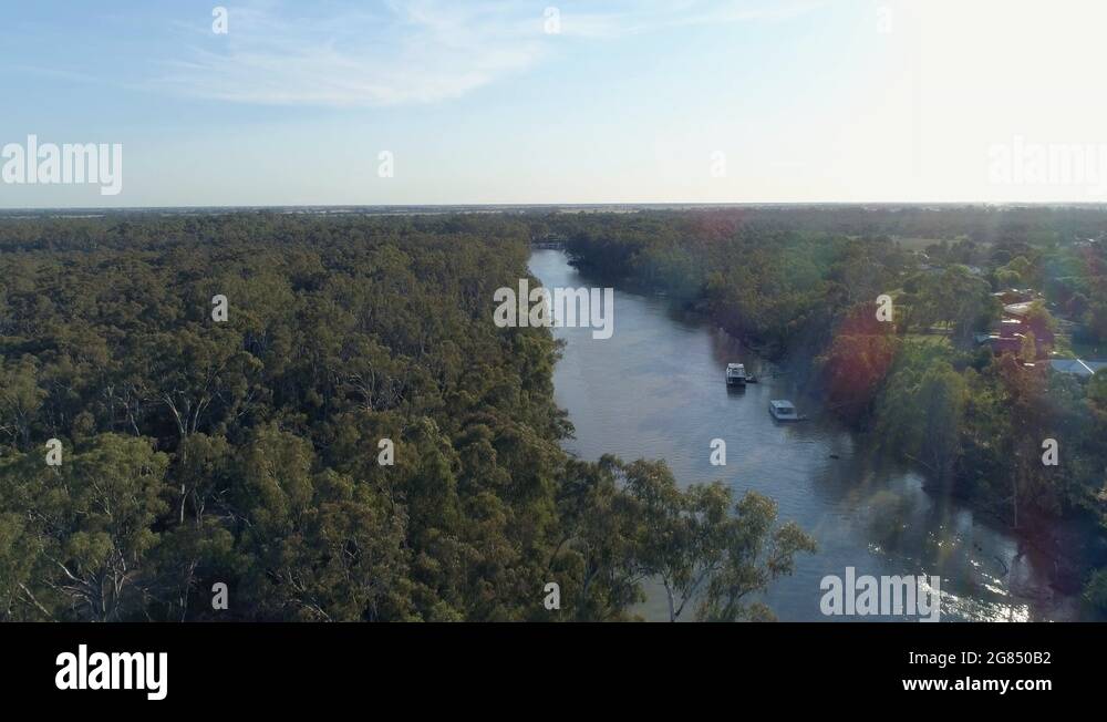 Mallee trees Stock Videos & Footage - HD and 4K Video Clips - Alamy