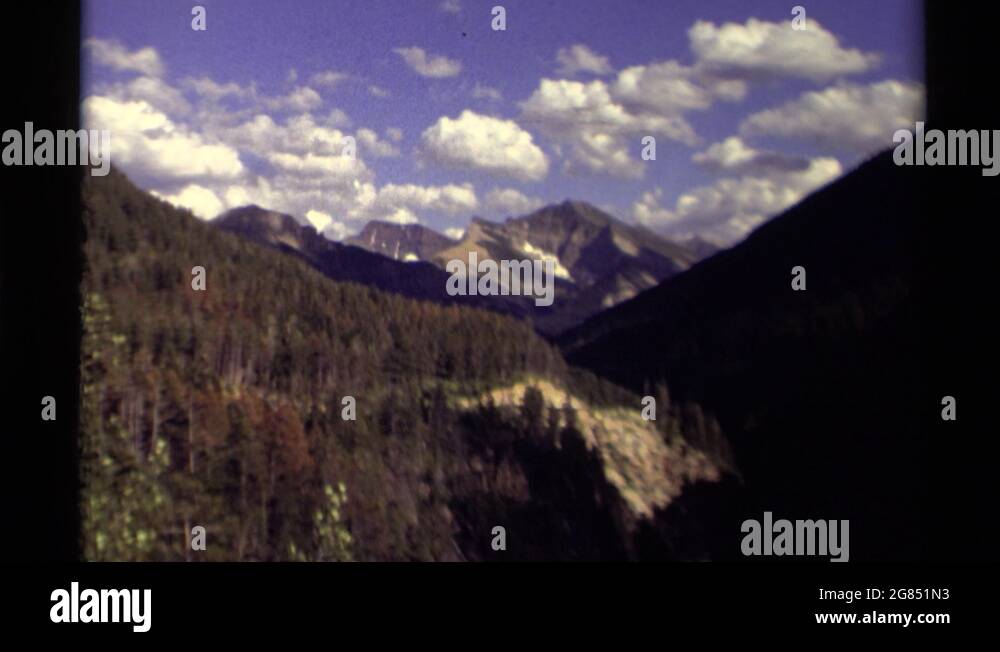 Detailed nature Stock Videos & Footage - HD and 4K Video Clips - Alamy