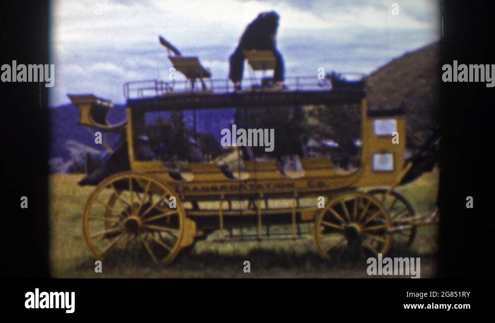 Packed cart Stock Videos & Footage - HD and 4K Video Clips - Alamy