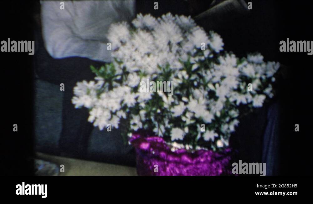 Flower plot Stock Videos & Footage - HD and 4K Video Clips - Alamy