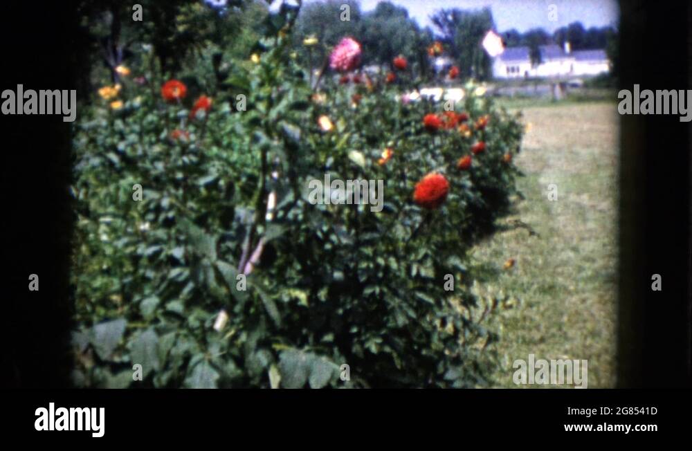 WAUCONDA ILLINOIS USA-1960: Ranch Flag Family Life Country Style ...