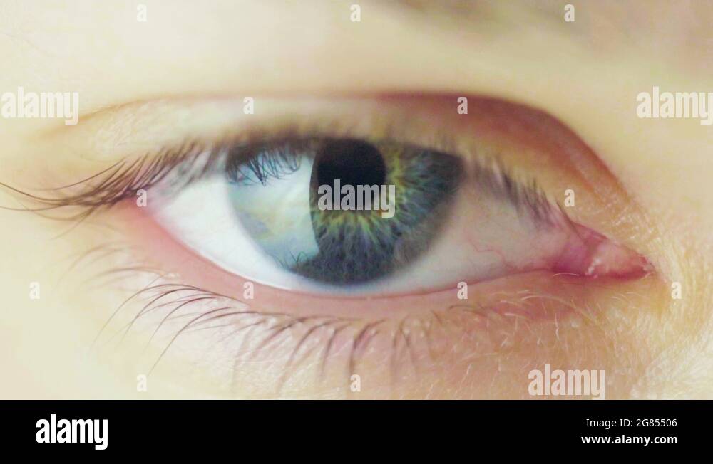 Blinking Human Eye. Slow Motion Stock Video Footage - Alamy