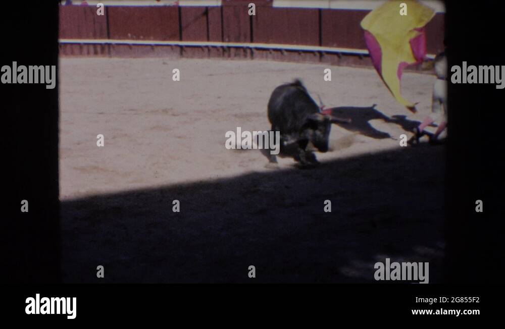 Scary bull Stock Videos & Footage - HD and 4K Video Clips - Alamy