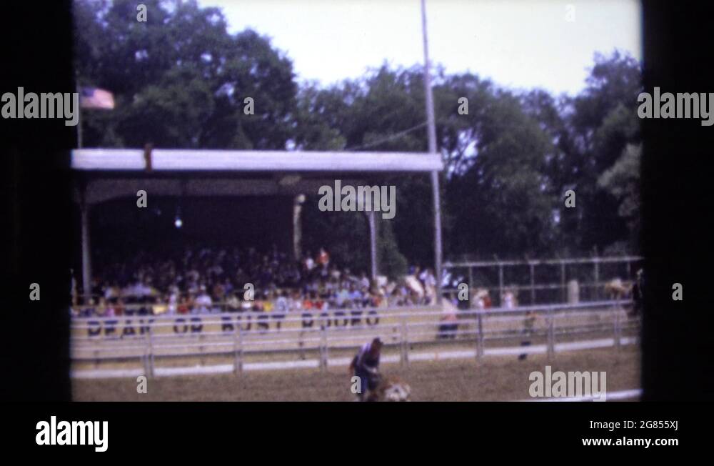 Race day horses Stock Videos & Footage - HD and 4K Video Clips - Alamy