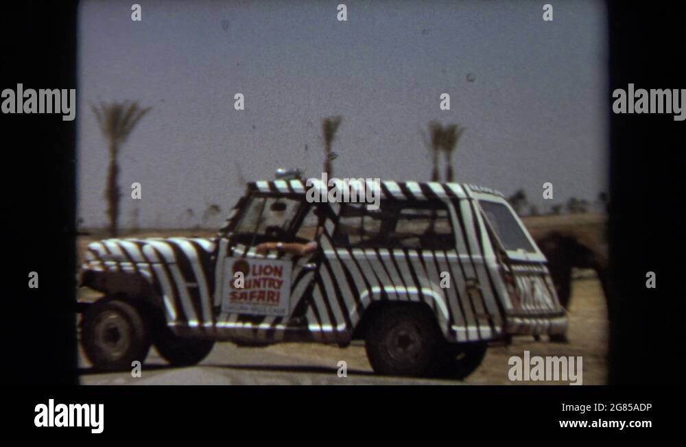 Zebra vehicle Stock Videos & Footage - HD and 4K Video Clips - Alamy