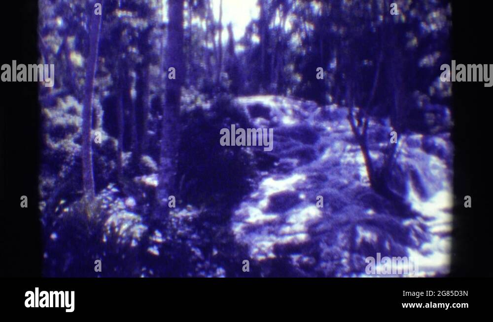 MAUNA ULU HAWAII-1971: Forest Jungle And Waterfalls Untouched Native ...