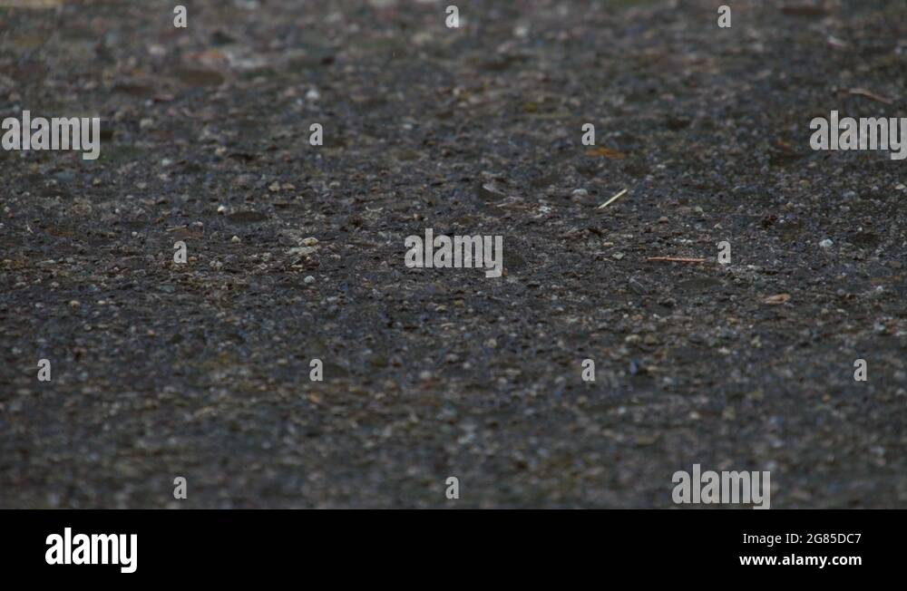 Rain hits pavement Stock Videos & Footage - HD and 4K Video Clips - Alamy