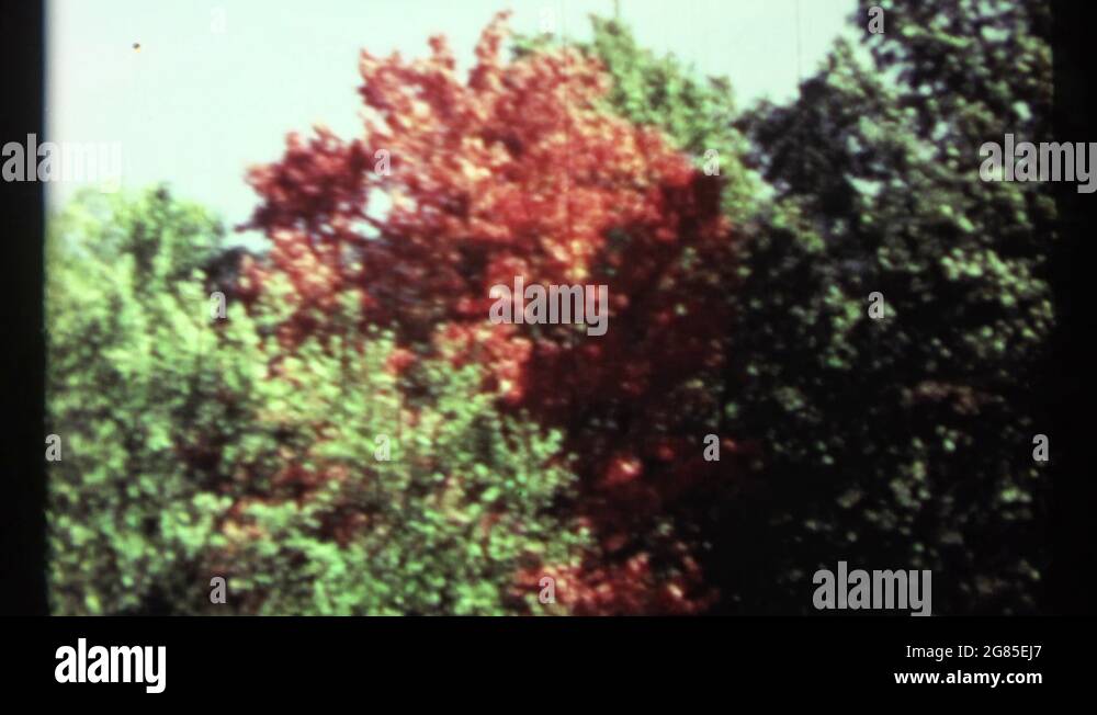 1967 season Stock Videos & Footage - HD and 4K Video Clips - Alamy