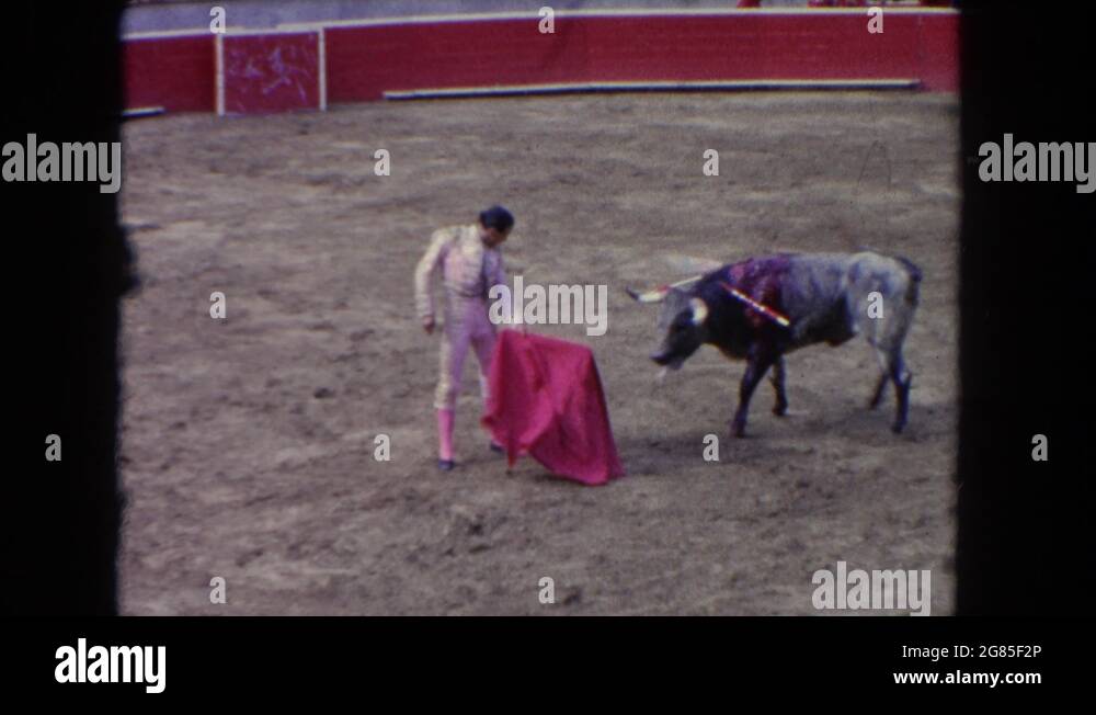 Bull pain Stock Videos & Footage - HD and 4K Video Clips - Alamy