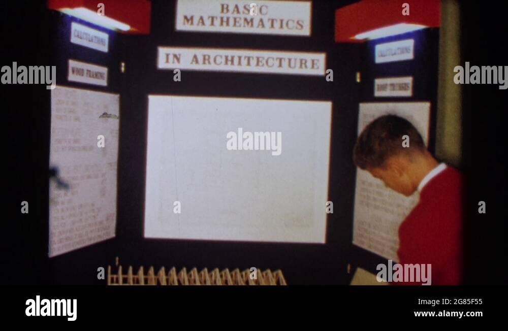 Father bird Stock Videos & Footage - HD and 4K Video Clips - Alamy