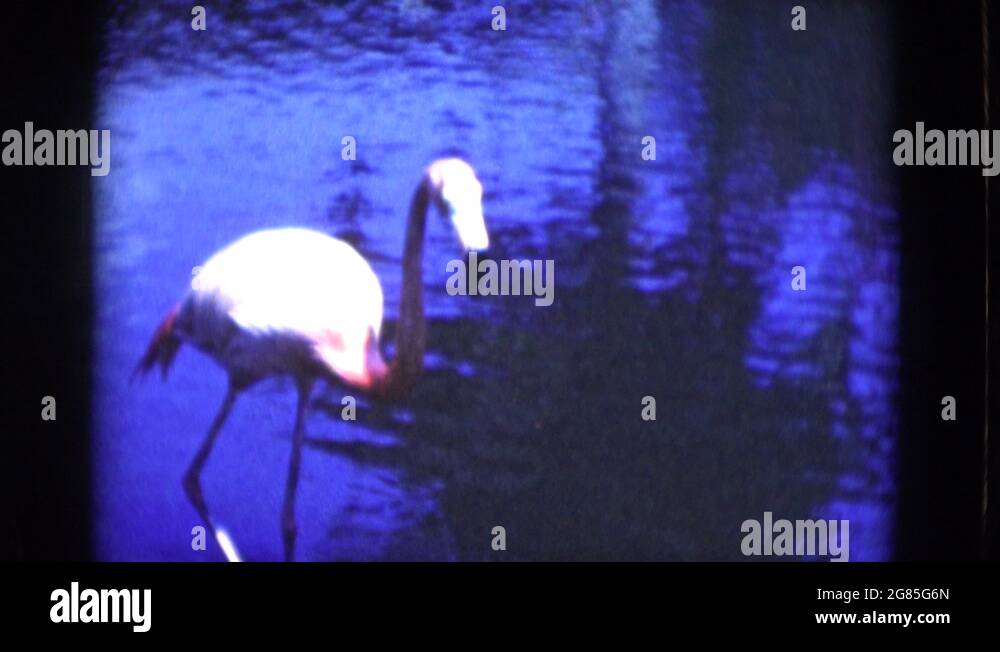 Pools water features Stock Videos & Footage - HD and 4K Video Clips - Alamy