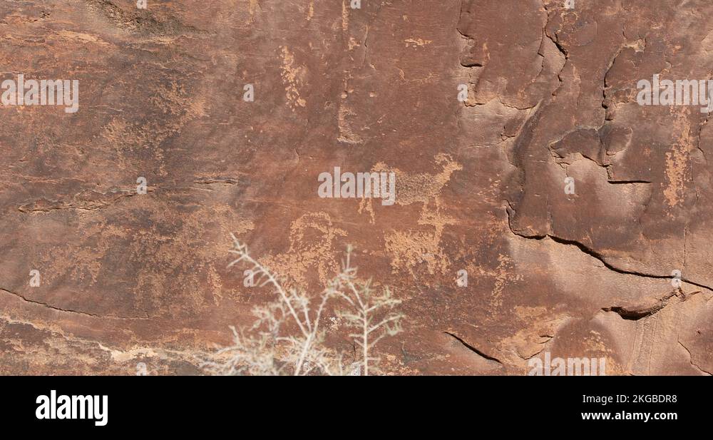 Ancient engraving Stock Videos & Footage - HD and 4K Video Clips - Alamy