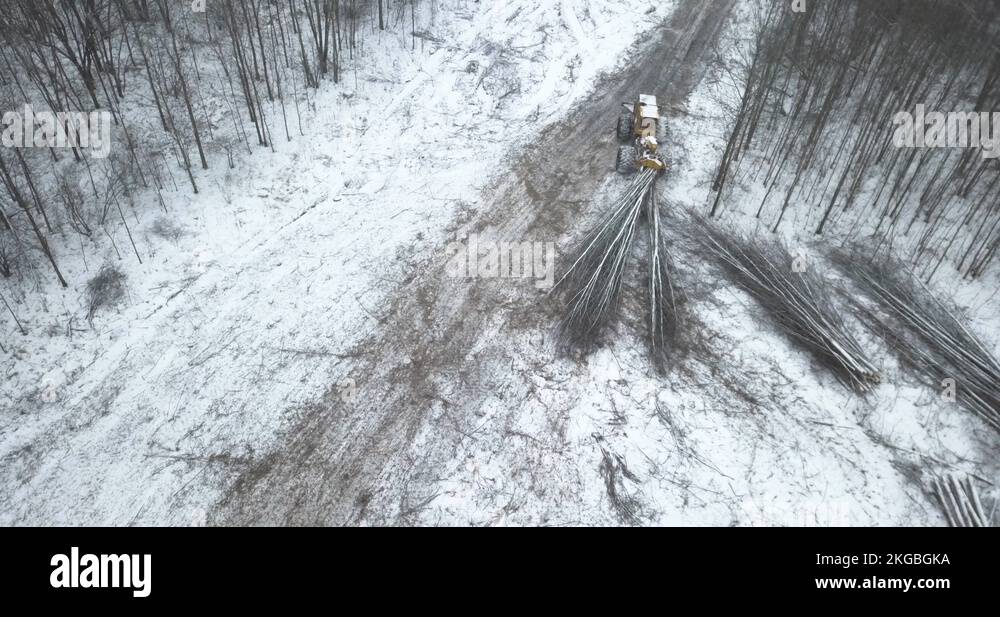 Snow skipper Stock Videos & Footage - HD and 4K Video Clips - Alamy