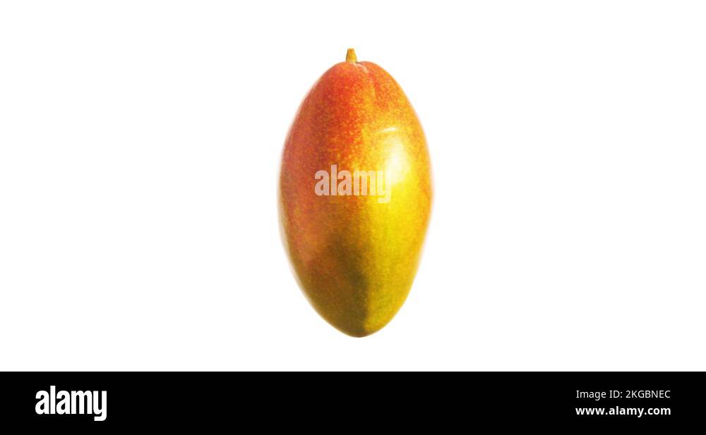 Mango Spinning and Rotating Isolated on White Background Suspended in ...