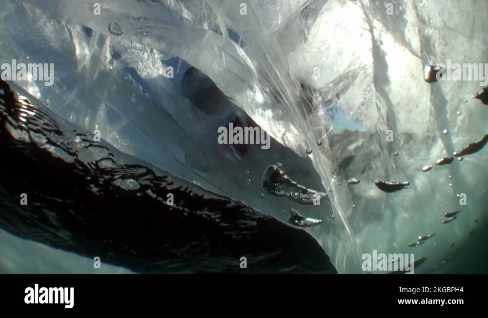Underwater video shooting under ice in cold water of people on ice ...